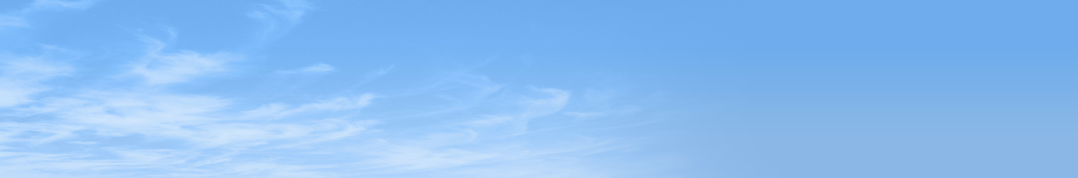 Company Profile | Building Rectification Services BRS